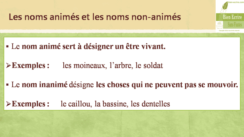 Les catégories du nom - Bien écrire