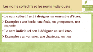 Les catégories du nom - Bien écrire