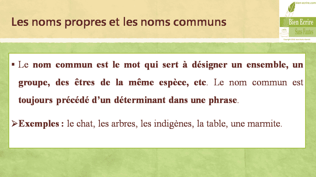 Les catégories du nom - Bien écrire