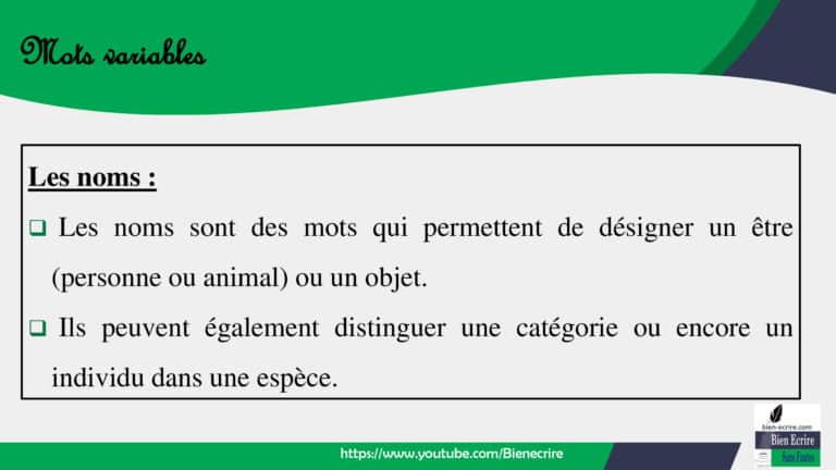 Les classes de mots variables - Bien écrire