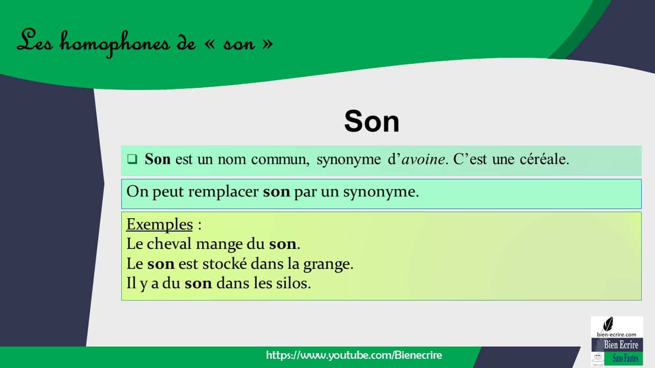 Homophone 8 – Son, Sont - Bien écrire