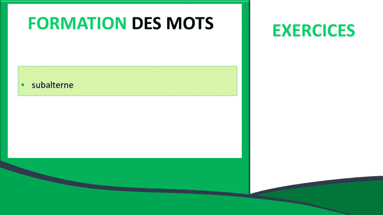 Radical, préfixe, suffixes : exercices (formation des mots 2/3) - Bien ...